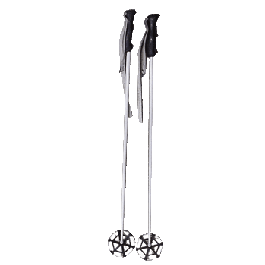Ski Poles - Coleman's Military Surplus